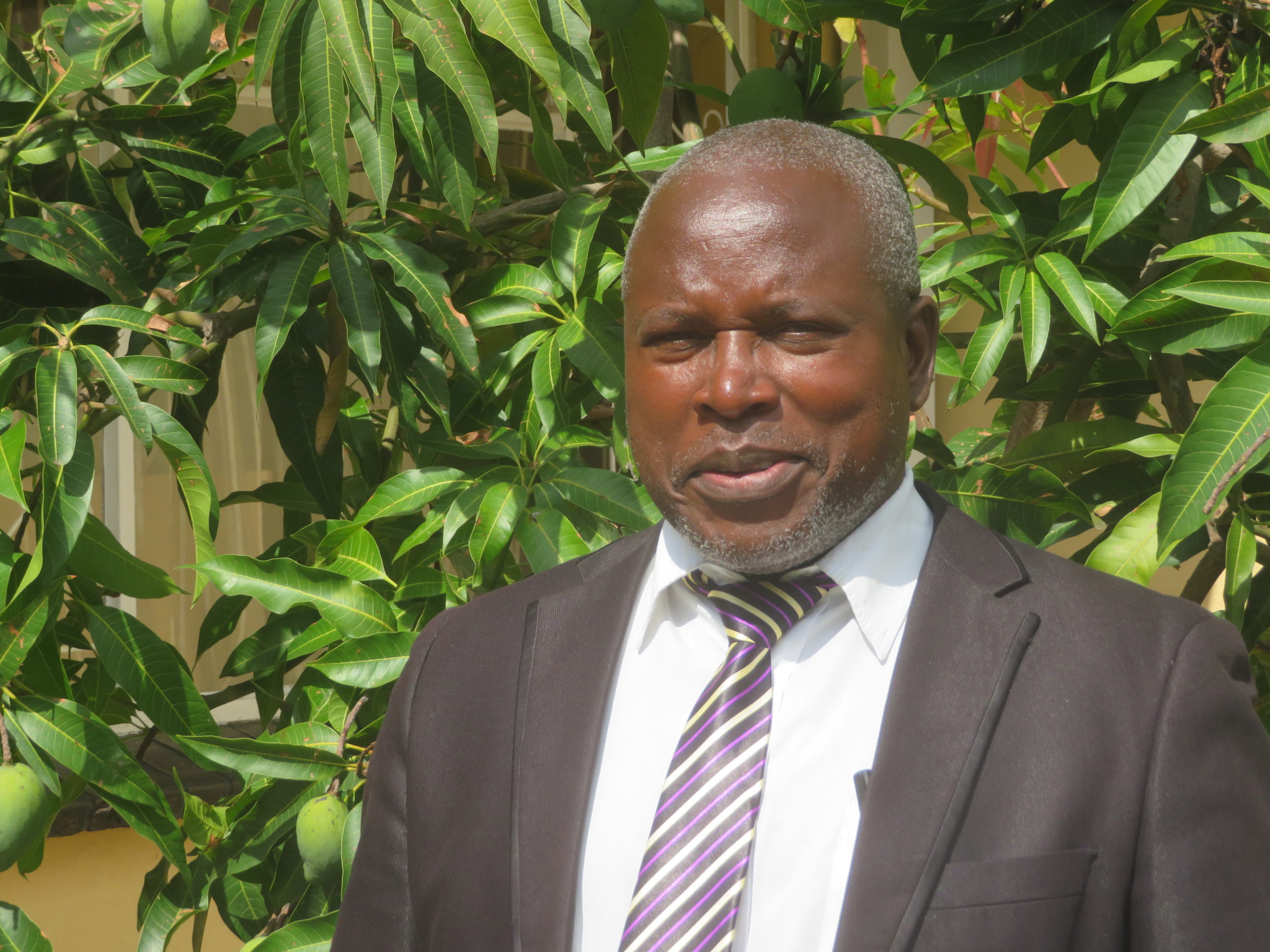 Africa AHEAD Association for Research & Training – Africa AHEAD